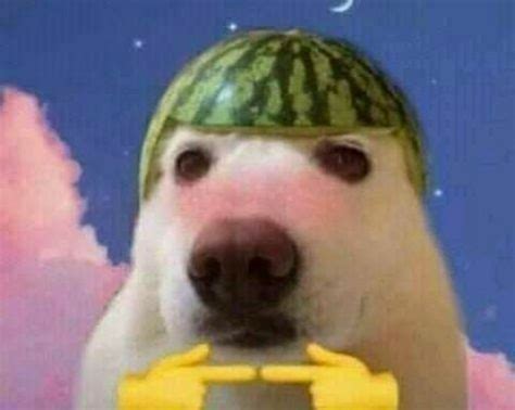 Top meme ngại ngùng hình ngại ngùng meme đáng yêu
