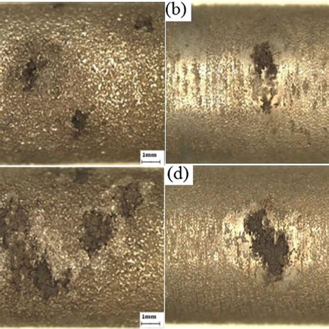 Surface Morphologies Of The Slmed Alsi10mg Alloy After Immersion In 35