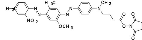 Bxq 1琥珀酰亚胺酯西安百萤生物科技有限公司