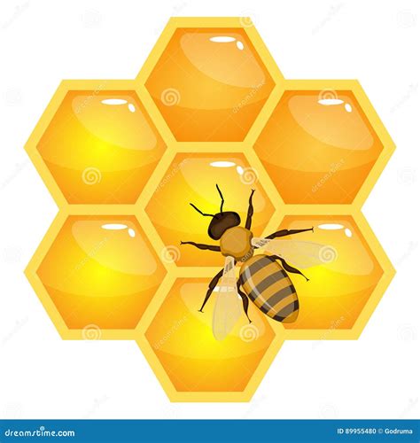 Abeja En Los Panales Aislados En El Fondo Blanco Vector Orgánico De La