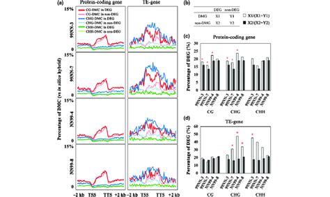Relationship Between Differential Methylation And Differential