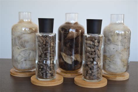 Ургамал хөрсөнд хонины ноосон бордоо ашиглахын ашиг тус Хүнсний ногоо