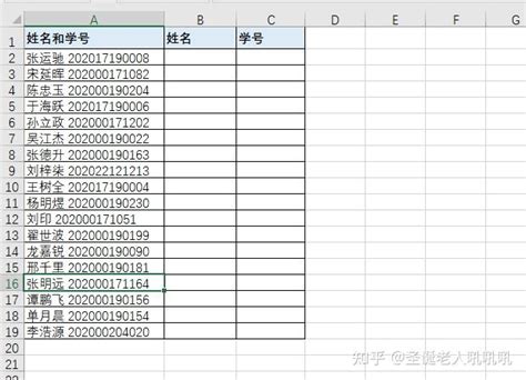 Excel