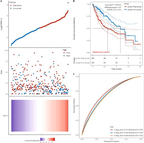 Anti Birc5 Autoantibody Serves As A Valuable Biomarker For Diagnosing