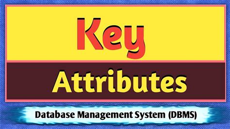 Key Attributes What Is Key Attribute Types Of Attributes