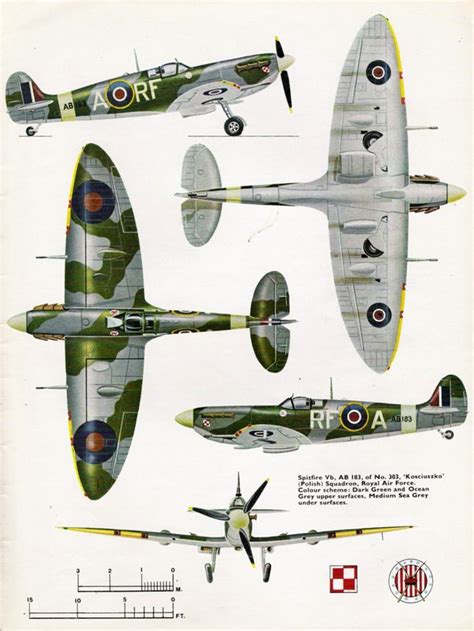 Spitfire Camouflage Markings Love Cars Motorcycles ทหาร เครองบนรบ ภาพประกอบ