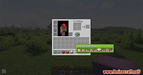 Shulker Tooltip Mod Learning About The Shulker Mc Mod Net