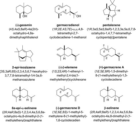 Sesquiterpene Structure