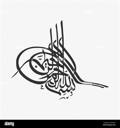Calligraphy Vector Illustrations Elegant Designs For Artistic And
