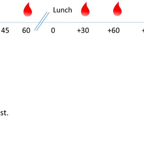 Schematic Of Protocol Download Scientific Diagram