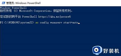 windows更新错误0x800f081f什么原因 windows更新错误0x800f081f两种解决方法 好装机