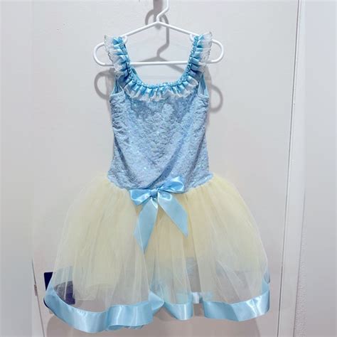 Evolution And Creation Costumes Evolution Dance Costume Cinderella