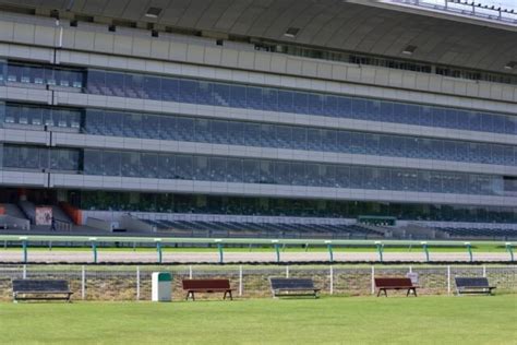Jra中央競馬ライブ中継を見る方法まとめ【無料あり】 ウマインパクト