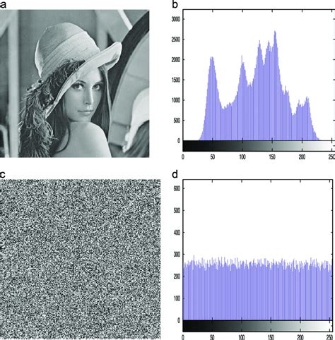 the histogram distribution of plain image and cipher image a plain