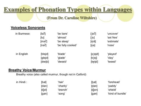 Ppt Voicing And Phonation Powerpoint Presentation Free Download Id
