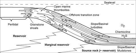 Generalized Facies Distribution Within One Ara Carbonate Platform With