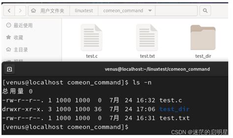 《linux从练气到飞升》no01 Linux常用指令more N 全部输出 Csdn博客