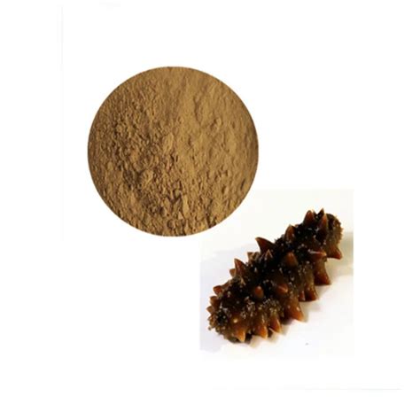 Sea Cucumber Polysaccharide 50 Sea Cucumber Extract Powder Buy Sea