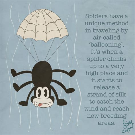 Ballooning Spider Info By Lightowl2007 On Deviantart