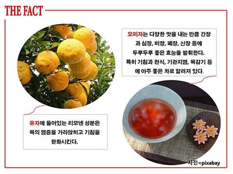 Tf카드뉴스 약보다 더 좋은 환절기 감기 예방 음식 11가지 사회 기사 더팩트