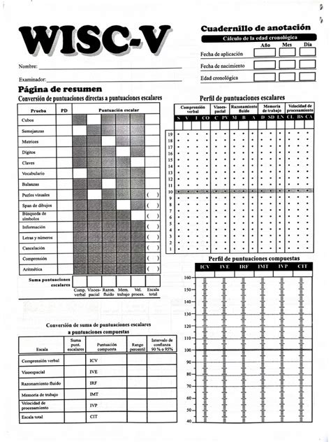 Protocolo Test De Wisc R