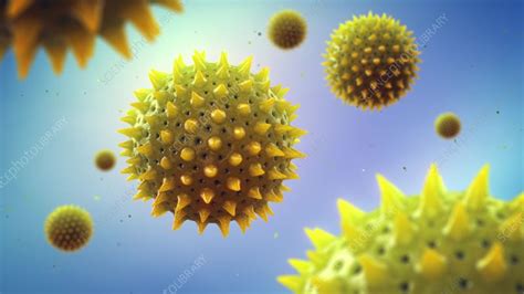 Airborne Pollen Grains Animation Stock Video Clip K0099232