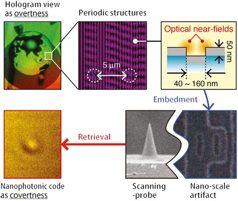 Schematic Diagram For The Concept Of A Nano Macro Hierarchical