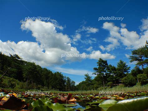 Photolibrary