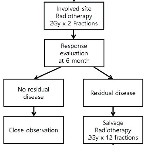 Image Showing The Treatment Protocol Download Scientific Diagram
