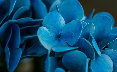 Instagram Wallpapers Photos Download The Best Free Instagram