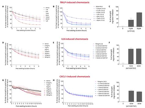 Neutrophil Chemotaxis Assay For Cancer Immunotherapy Screening