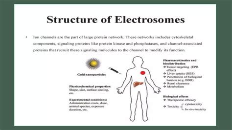 Electrosome Pptx