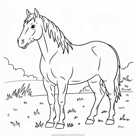 Kreslený Kůň Omalovánka Omalovánky Pro Děti Zdarma K Vytištění