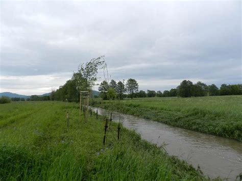 Gewässerstruktur an der Milz (Milzgrund) - AKTION-FLUSS