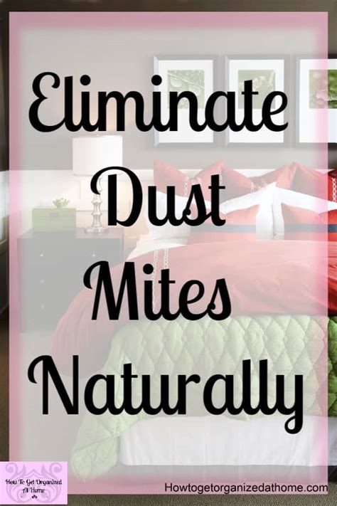 How To Reduce Dust Mites In The Bedroom Simply