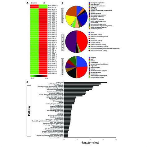 identification of differentially expressed mirnas and target gene in