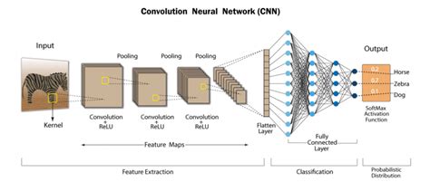 Dl Convolution Neural Networks Cnn