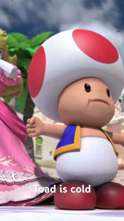 Toad Would Be So Cool In Ssbu 🥶intro Love Ssbu Nintendo Peach