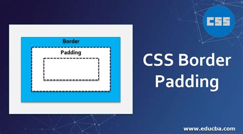 Css Border Padding How Does Border Padding Work In Css Examples