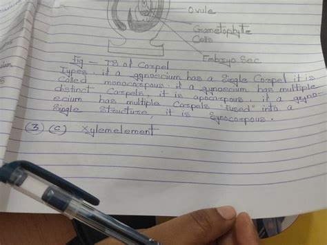 Sonam Singh adlı kullanıcının Cursive handwriting practice panosundaki Pin