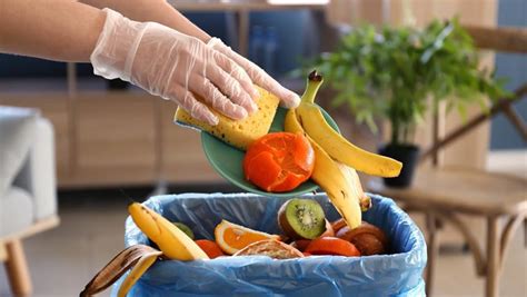 9 dicas de como evitar o desperdício de alimentos Jasmine Alimentos