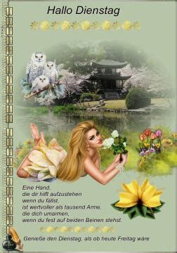 Gruppe: dreamies.de - dreamies.de