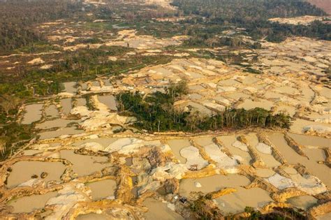 Garimpo cresce em Terras Indígenas da Amazônia Greenpeace Brasil