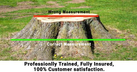 Affordable Tree Stump Removal Tree Stump Removal Servicing Toronto Durham York Region