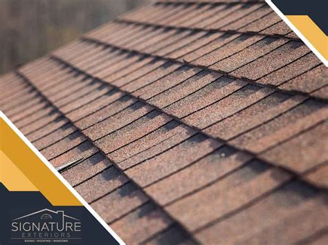 4 Roofing Advice For New Homeowners