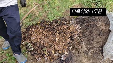 한약찌꺼기 커피박 과일껍질등 부산물로 퇴비만들기 Youtube