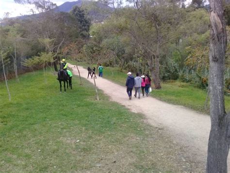 24 De Agosto Día Mundial De Los Parques Nacionales ¿cómo Surgió Esta