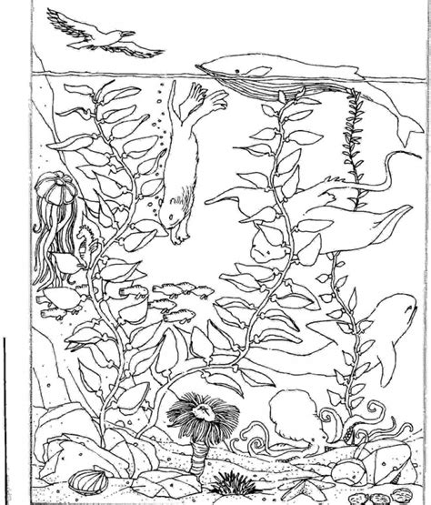 Coloriage Fond de mer et animaux dessin gratuit à imprimer