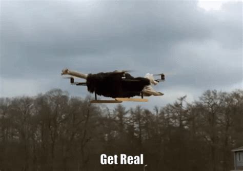 Drone S
