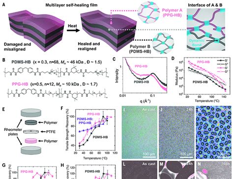 Autonomous Alignment And Healing In Multilayer Soft Electronics Using